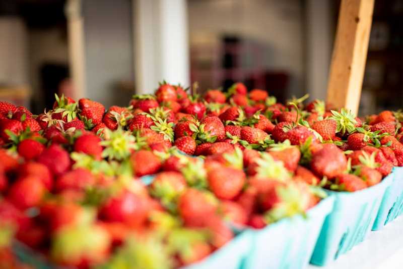 Visit Smithsburg - Farms & Orchards